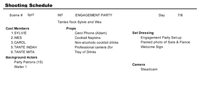 Create a professional script breakdown, budget and schedule by ...