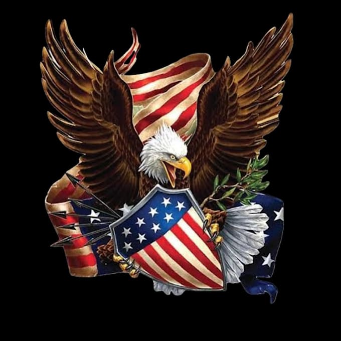 Graphic design american flag by Shakihtaha5 | Fiverr