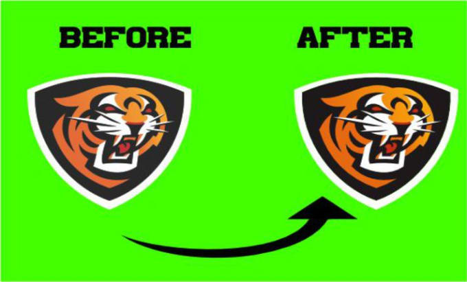 Trace best detailed vectors you can have raster to vector by ...