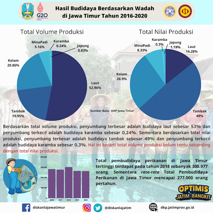 Make infographic based on descriptive statistics by Othmanola | Fiverr