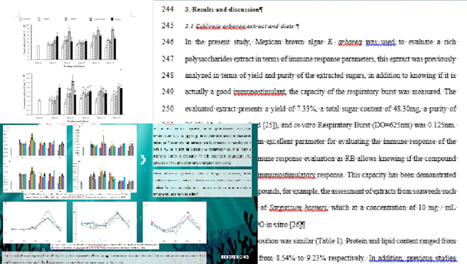 Organize and analyze your all of your data by Myriamibarra | Fiverr