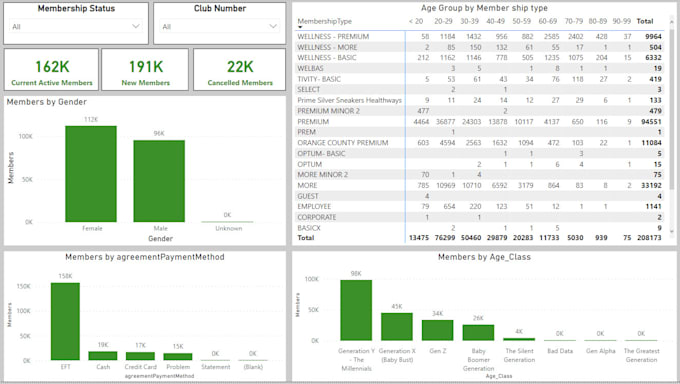 Reports and dashboard in power bi and excel by Muralidontam | Fiverr