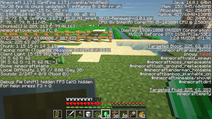 Play minecraft with you on tlauncher by Paarthnegi | Fiverr