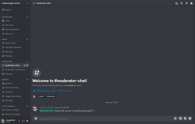 Professionally, setup or manage your discord server or create bots by ...