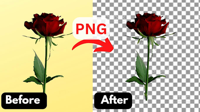 Remove background from photo and give high resolution formet by ...