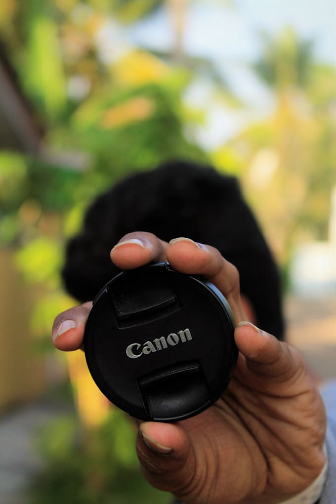 As a professional photo editor, you have the ability to change ...