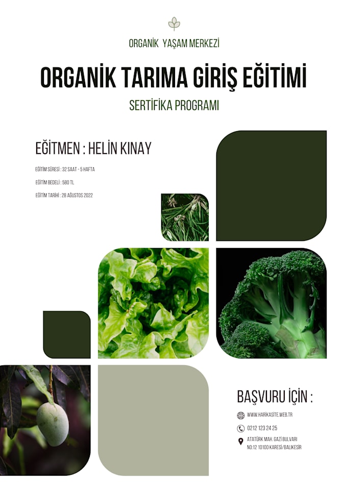 Design a great poster by Levent345 | Fiverr