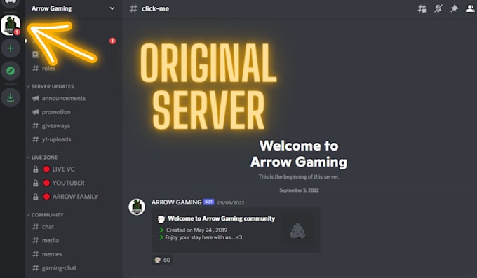 Clone any discord server nft,gaming,music, and more by Kelhadim | Fiverr