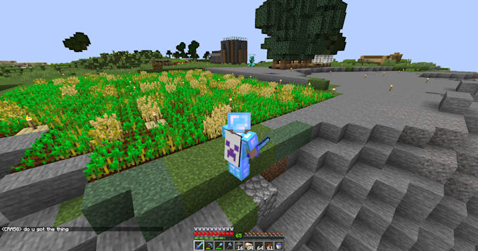 Run any task you want in minecraft by Aiilex | Fiverr