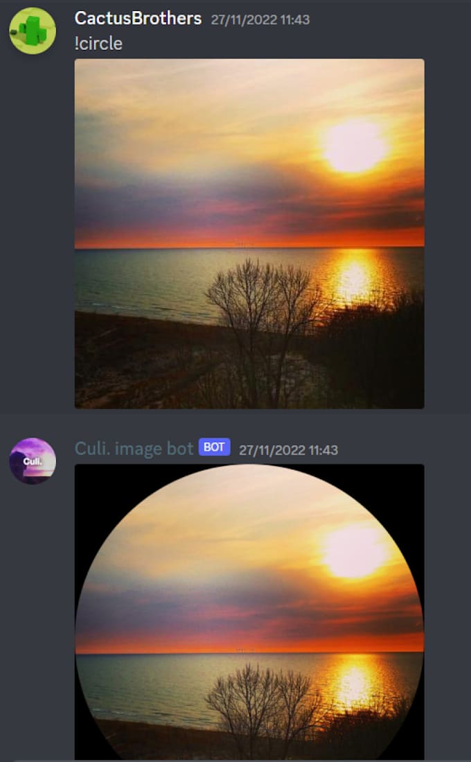 Program a simple personal discord bot in python by Cactuscoder | Fiverr