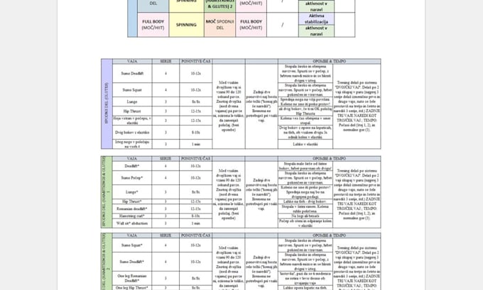 Create a personalized exercise plan for you by Tea_ro | Fiverr