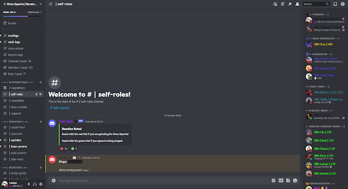 Create a discord server for you by Originfanticy | Fiverr