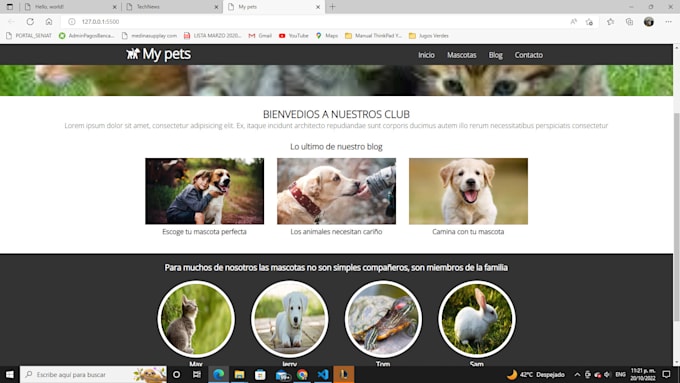 Bases de html,css y javascript by Luisojeda996 | Fiverr
