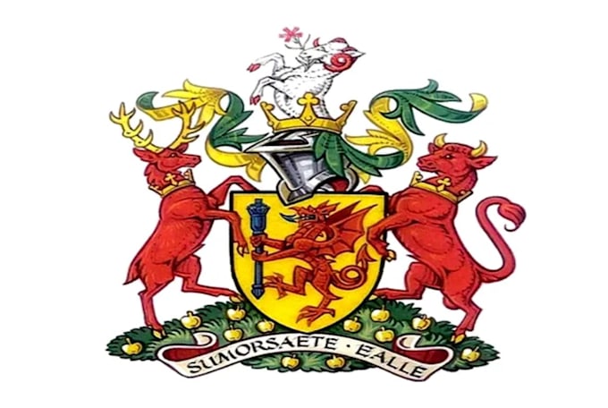 Make creative coat of arms family crest heraldic logo design by ...