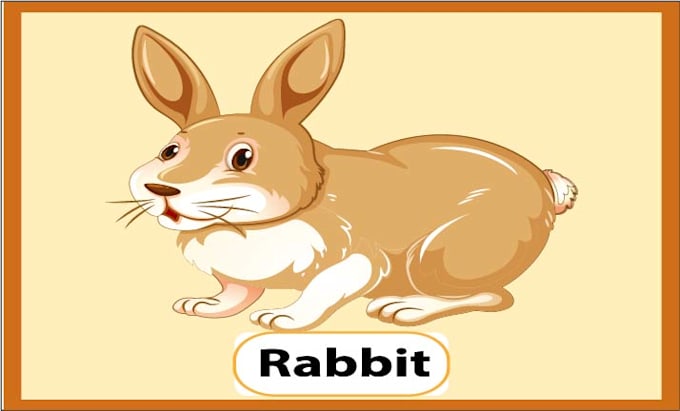 Design any type of flashcard for children by Branding_ra | Fiverr