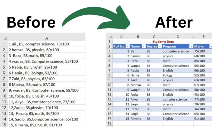 Do ms excel data cleaning and formatting by Naseem_expert | Fiverr