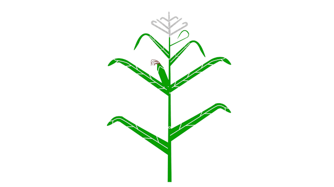 Make the best poster design by Tabasamalam | Fiverr