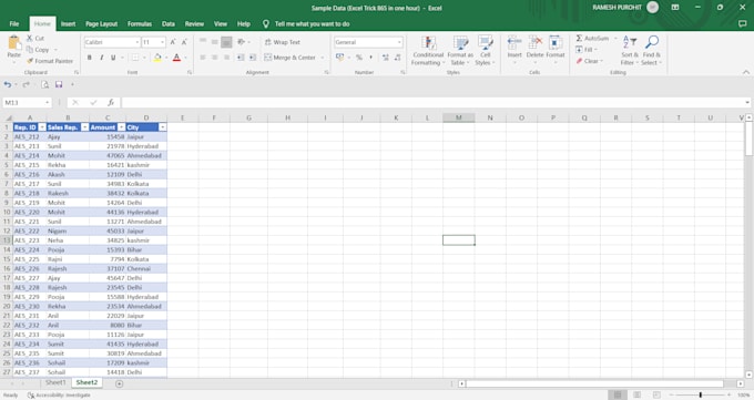 Clean excel data entry by Megha9323 | Fiverr