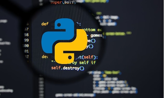 Do your python programming tasks by Moncefamine | Fiverr