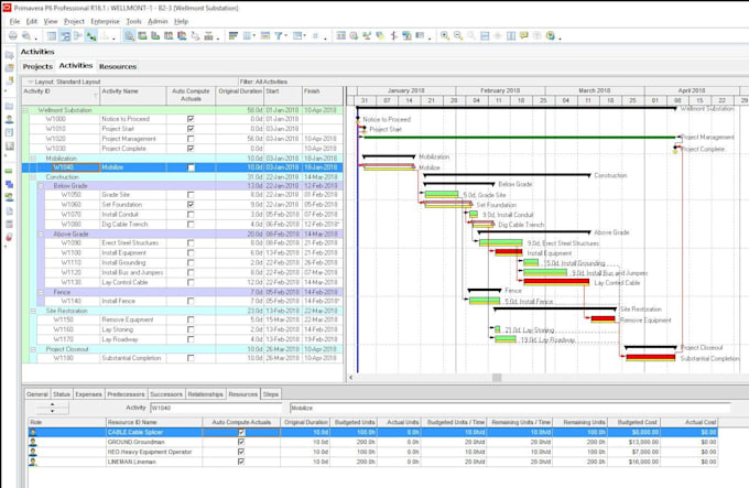 Create project plan in primavera p6 and ms project by Ayeshaziaullah | Fiverr