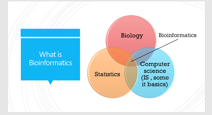 Write the pages using html and css by Mohammed_dghar | Fiverr
