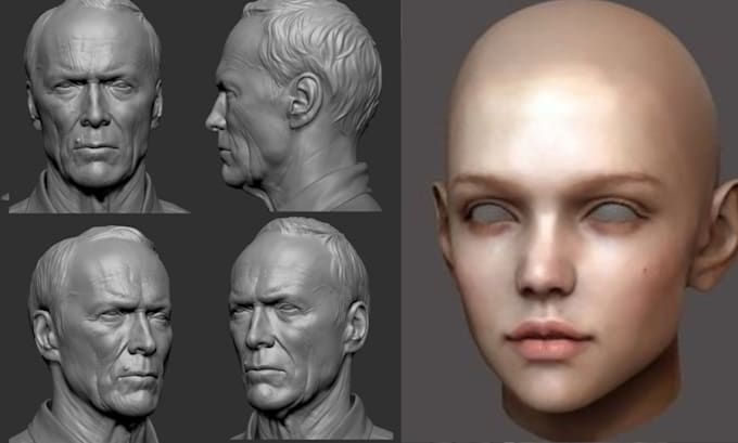 Create 3d model, 3d face, 3d sculpting using blender or zbrush for 3d printing by Charloytte ...