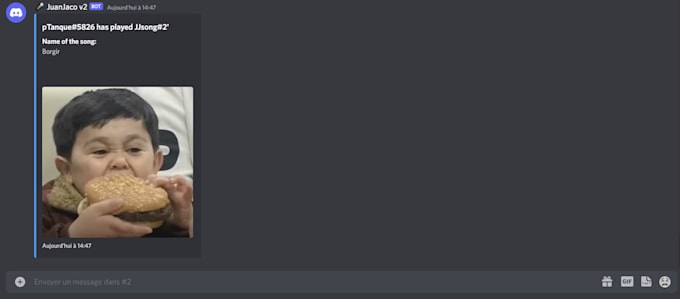 Create An Awesome Custom Discord Bot By Elbraczykj Fiverr