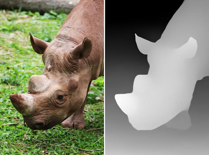 Create depth maps for parallax images and facebook 3d by Imagegalore | Fiverr