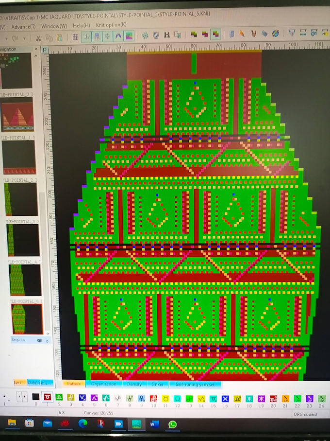 Help you jacquard design and program hqpds, raynen, dahao by ...