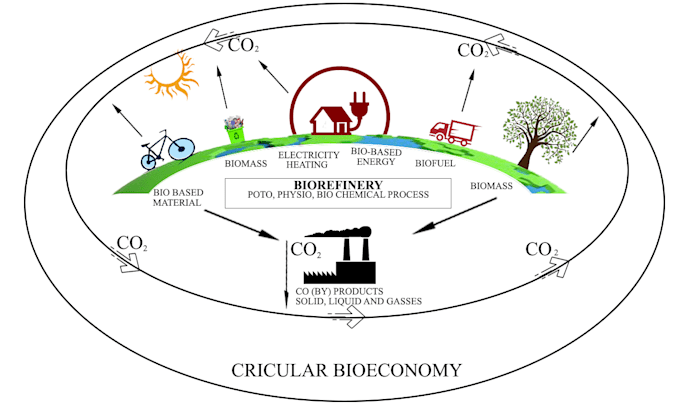 Design biological, and medical flowsheets and flowcharts by ...
