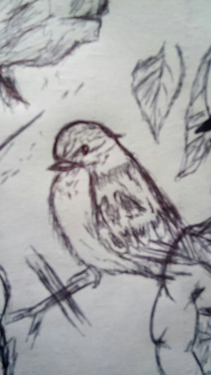 Traditional drawing and scketches for everything for 5 by Gabrielaco17 ...