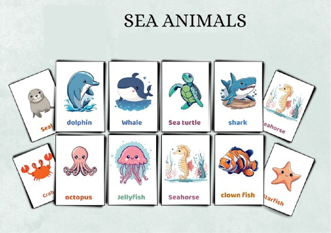 Design printable creative and attractive flashcards by Mulymadastgeer ...