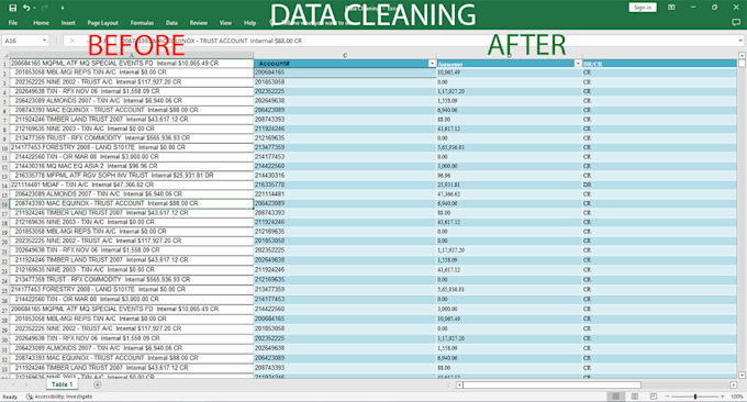 Do excel data cleaning, formatting, clean up, organizing to your needs ...