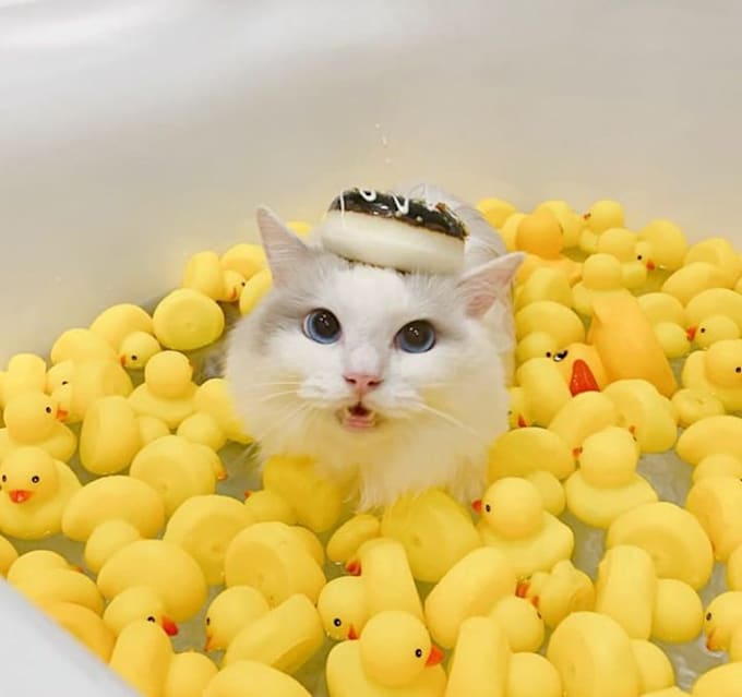 Write a one to two page story or small poem for you by Poweroflili102 ...