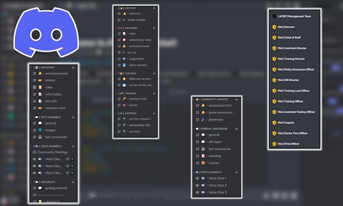 Setup a professional discord server within 48 hours by Sozin9999 | Fiverr