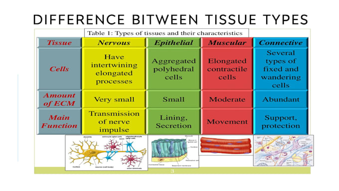 Research and write articles, blogs, essay by Doctorislam | Fiverr