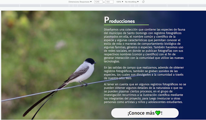 Do Web Pages Including Html Css Javascript Frameworks Css And React By Josegomez04 Fiverr