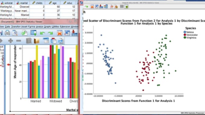 Do regression analysis sas,spss,rstudio by Emma_amolia | Fiverr