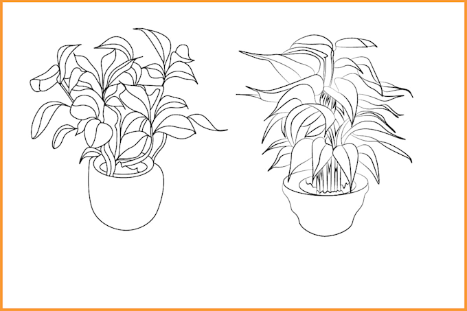 Draw a plant illustration with one line art in 24 hours by Sondhi_khan | Fiverr