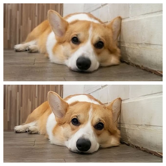 Enhance your blurry low resolution photos by Enhancedpic | Fiverr