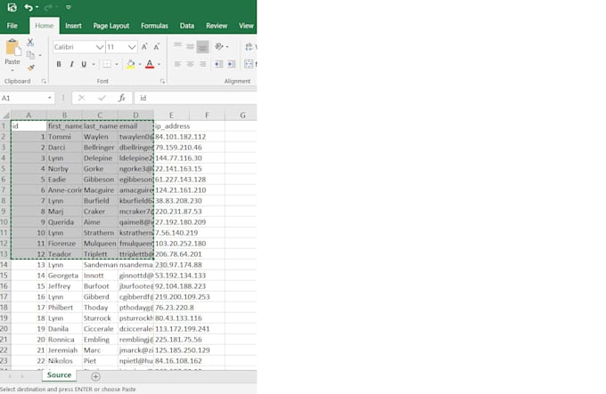 Do The Data Cleaningdata Formatting Data Sorting Duplicate Data From Ms Excel By Royal27924