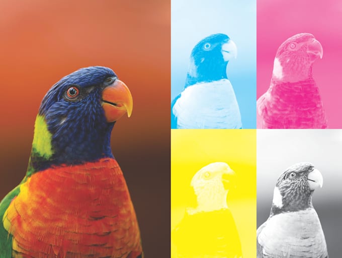 Do professional cmyk color separation, 4 color separation by ...