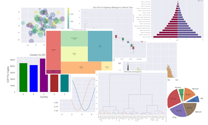 Create data visualisations in python by Caspertimmerman | Fiverr