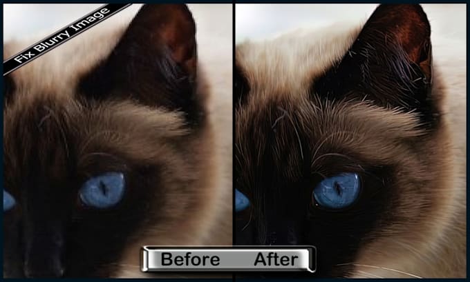 Turn blurry low quality photos and images into hi resolution by ...