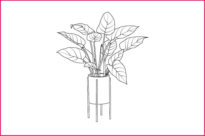 Hand draw botanical illustration line art of plants, flowers by David ...