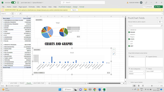 Create pivot table and charts for large data by Sofiya_53 | Fiverr