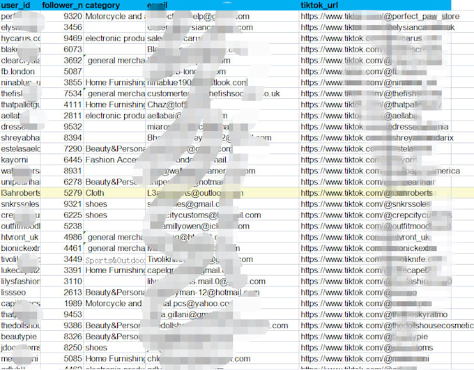 Build tik tok influencer list for you by Bighit4ever | Fiverr
