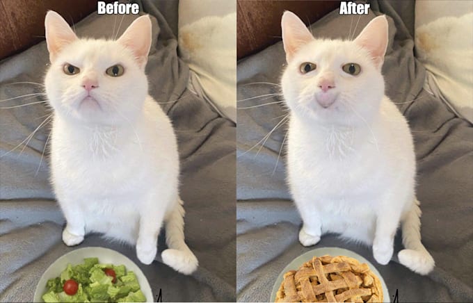 Create fun personal edits to share with your friends by Casualmemes ...