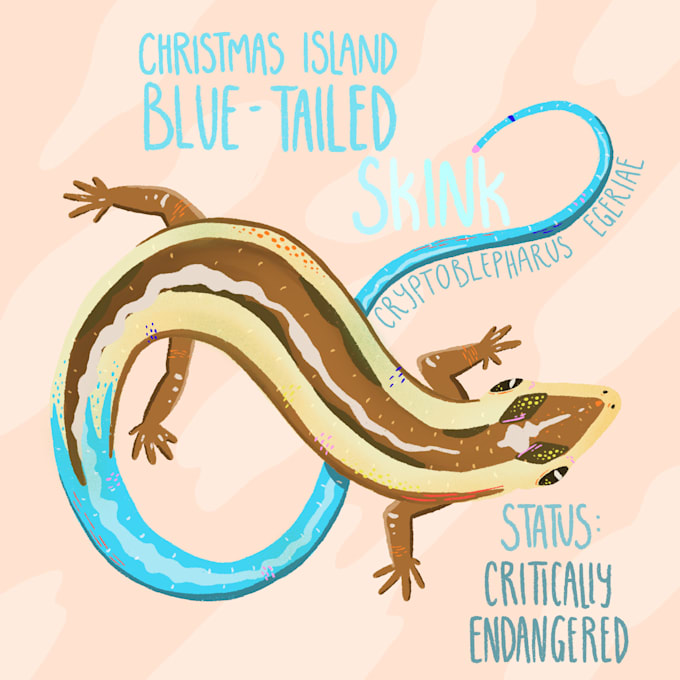 Create easy to understand information illustrations by Genevievelamb ...