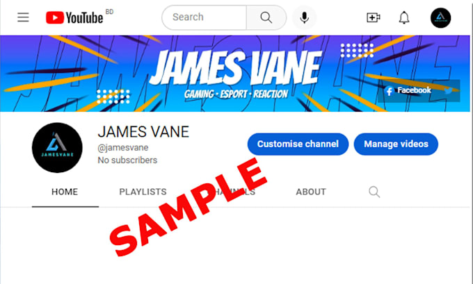 Create professional youtube channel and setup, logo, channel art by ...
